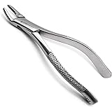 Amazon.com: Forceps 150 Upper Incisors Root Teeth Dental Extraction ...
