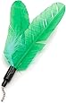 Amazon.com : Cats Claws I.C.A.T.S. Attachment Cat Toy : Pet Feather ...
