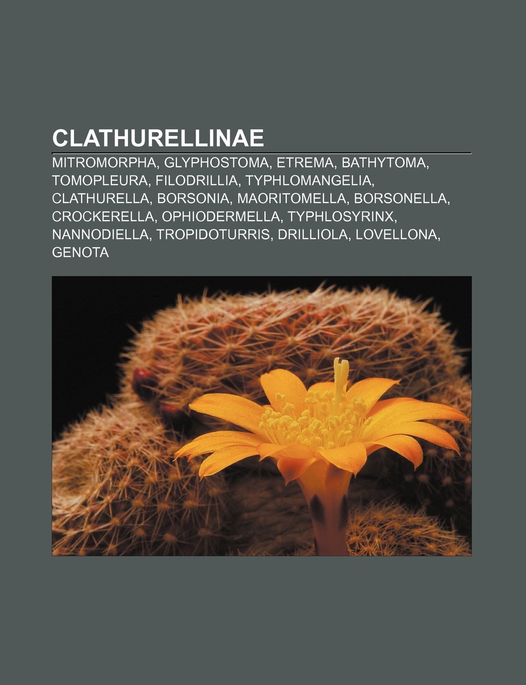 Clathurellinae: Mitromorpha, Glyphostoma, Etrema, Bathytoma, Tomopleura ...