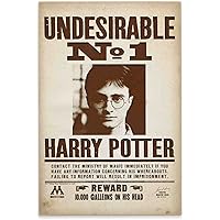 Amazon.com: Open Road Brands Harry Potter Undesirable No. 1 Wood Wall ...