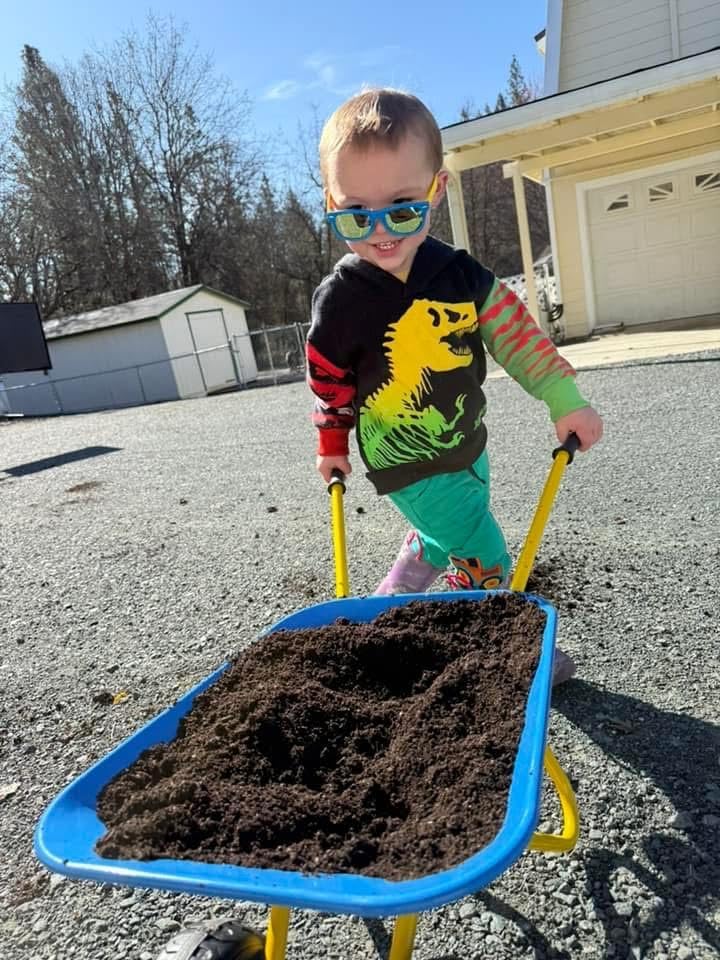 3T GROUP Kids Metal Wheelbarrow,Toddler Wheelbarrow Toy,Children Steel Wheelbarrow For Kids ...