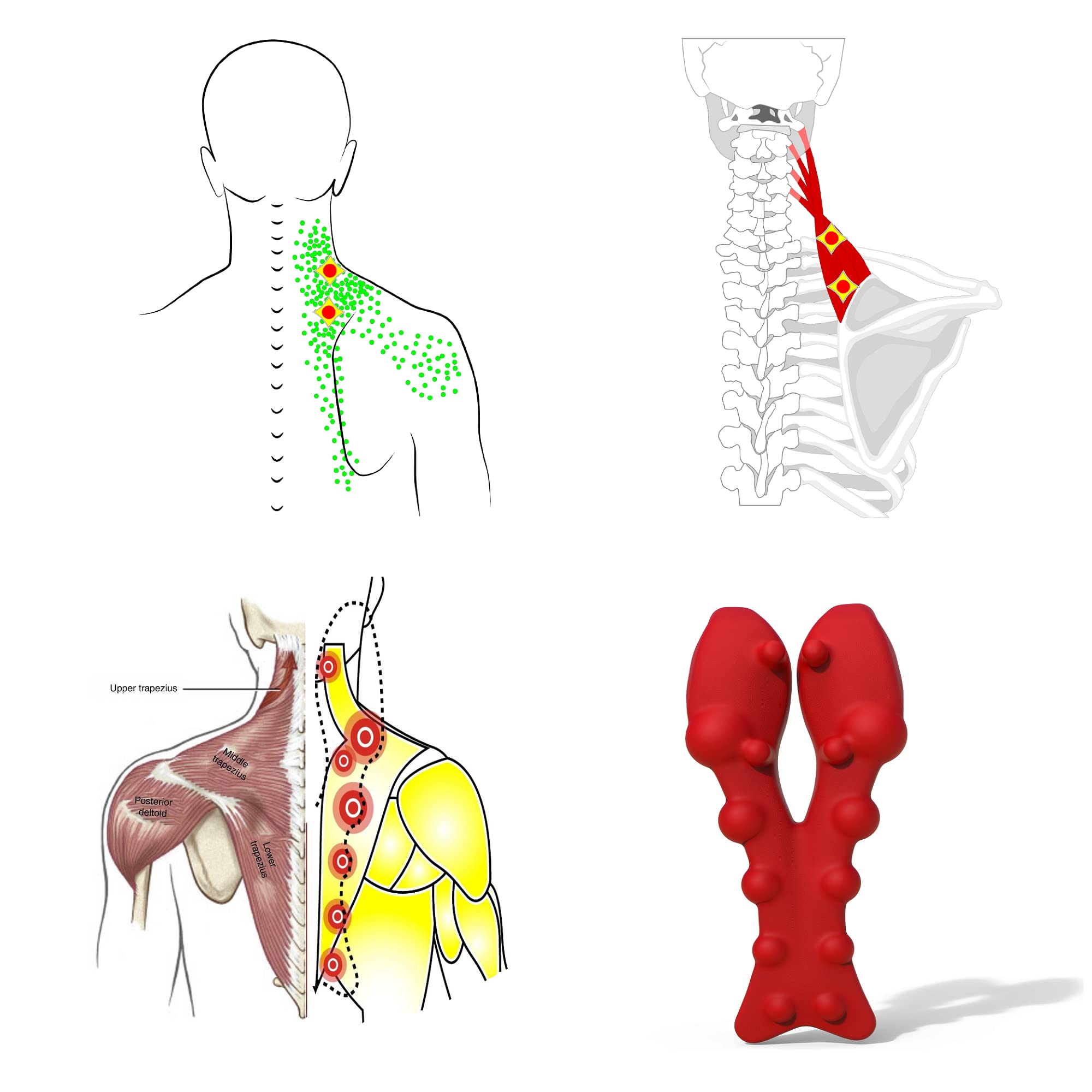 Mua Trapezius Trigger Point Massager, Myofasical Release Neck and ...