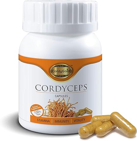 Cordy Gold Cordyceps Militaris Mushroom Capsules 500 Mg Supplement to ...