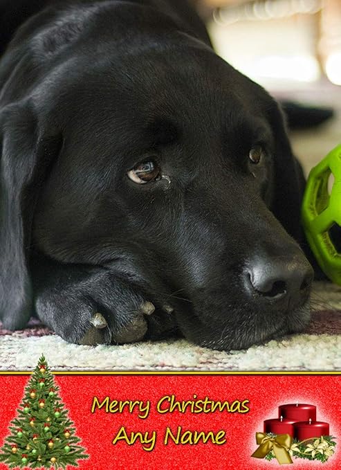 Personalised Black Labrador Dog Christmas Card (Merry Christmas, Any ...