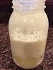 Tibetan Kefir Grains Mushrooms Bulgaros Pajaritos Probiotic Healthy ...