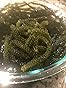 Amazon.com : Japanese Sea Grapes - The Original Umibudo Green Caviar ...