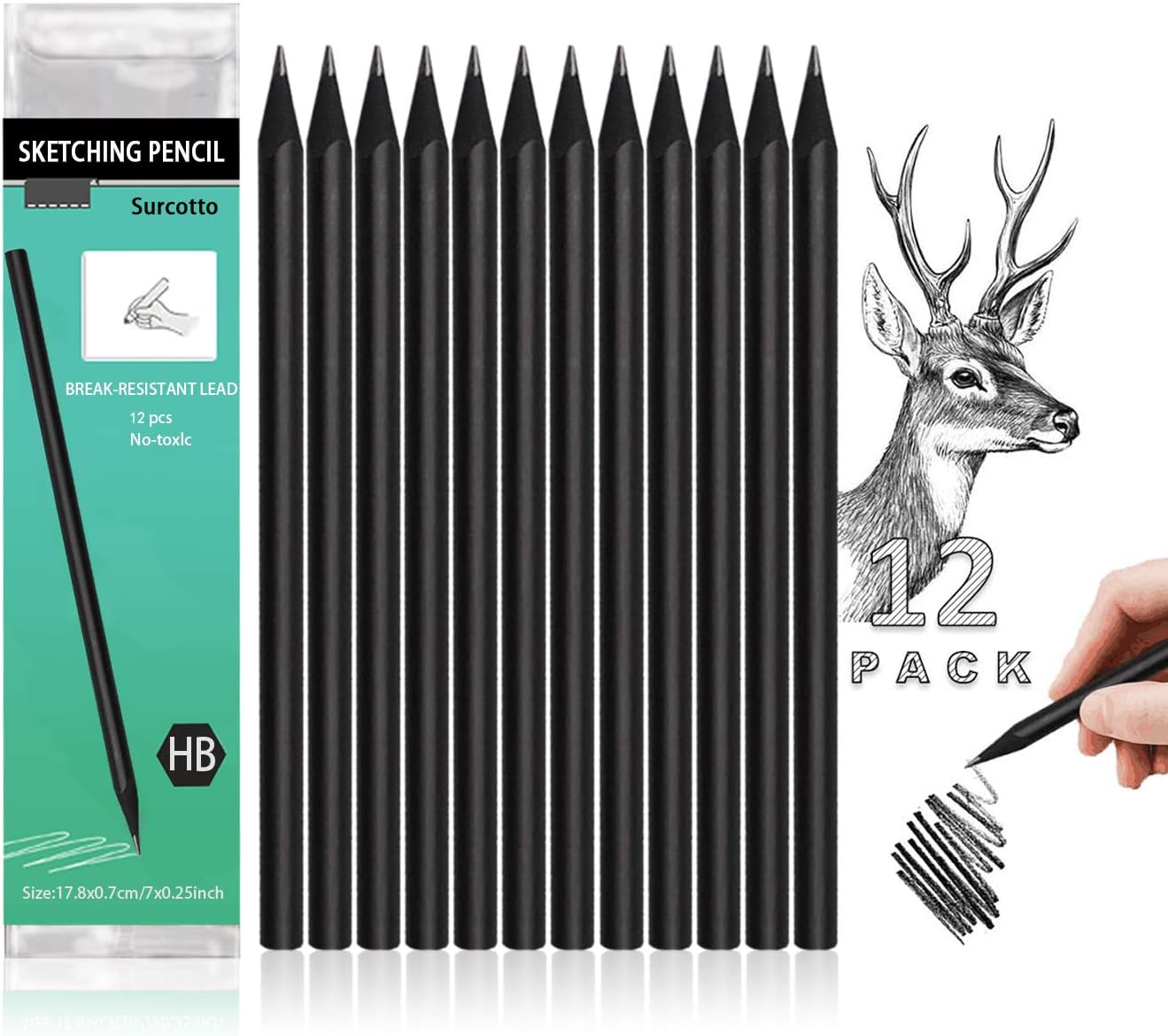 HB Pencils, Pack of 12 Graphite Pencils Drawing Pencil HB Lead Pre ...