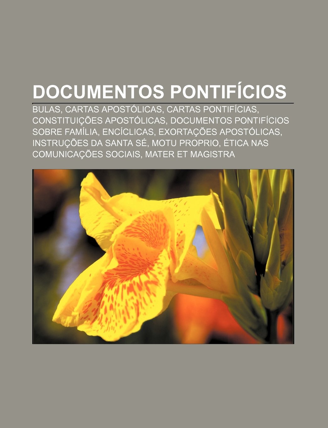Documentos Pontificios: Bulas, Cartas Apostolicas, Cartas Pontificias, Constituicoes Apostolicas ...