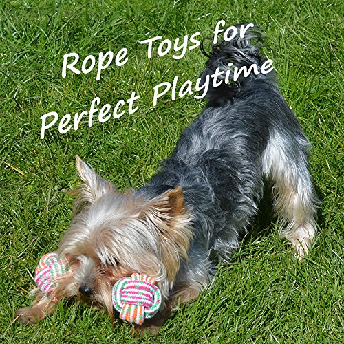 Puppy Chew Teething Rope Toys Set Mini Dental Pack For Small to Medium ...