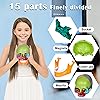 breesky Human Skull Model for Anatomy, 15 Parts Human Anatomy Exploded ...