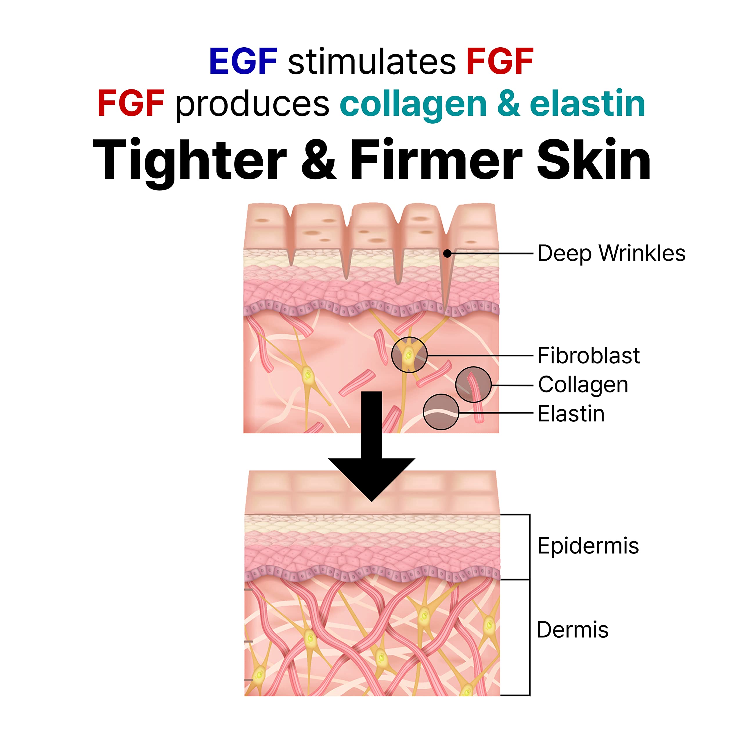 Mua LANBELLE Ultra Lifting EGF FGF 10 ppm Ampoule Serum w/Centella Asiatica Hyaluronic Acids ...