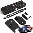 Amazon.com: INTECH AUTO Truck Tailgate Assist Accessories for 2022-2024 ...
