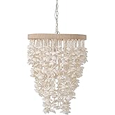 Wellmet Black Natural Capiz Shell Chandelier, 5 Lights Boho Coastal ...