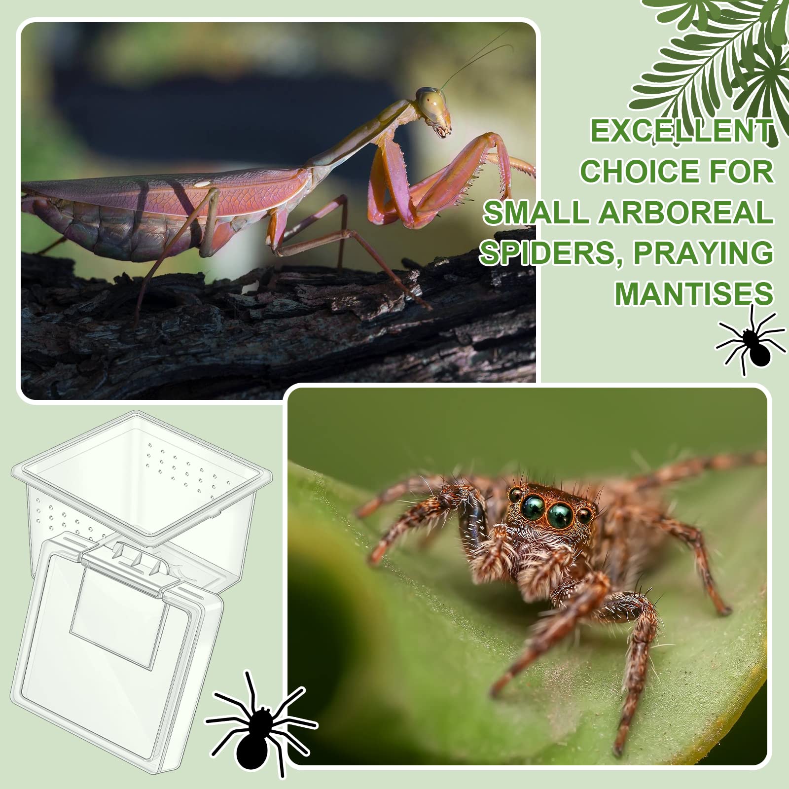 Mua 20 Pcs Insect Spider Terrariums Breeding Box Small Reptile Hatching ...