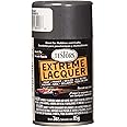 Amazon.com: Testors 1849MT 3 oz. Lacquer Spray Gloss Paint, Graphite ...