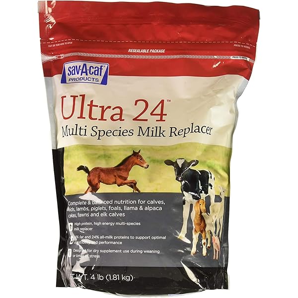 Ultra 24 For Dogs | canoeracing.org.uk