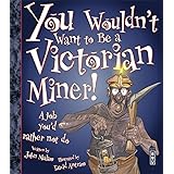 You Wouldn't Want to Be a Victorian Servant: MacDonald, Fiona ...