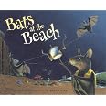 Bats at the Beach (A Bat Book): Lies, Brian: 9780618557448: Amazon.com ...