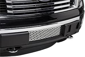 Amazon.com: Putco 84182 Ecoboost Punch Design Bumper Grille Insert for ...