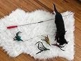 Amazon.com: SCOBUTY The Giddy Kitty 5 Pack Cat Feather Interactive Toy ...