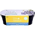 Amazon.com: Buzzy Seeds Chamomile & Lavender | Herb, Plant, Flower ...