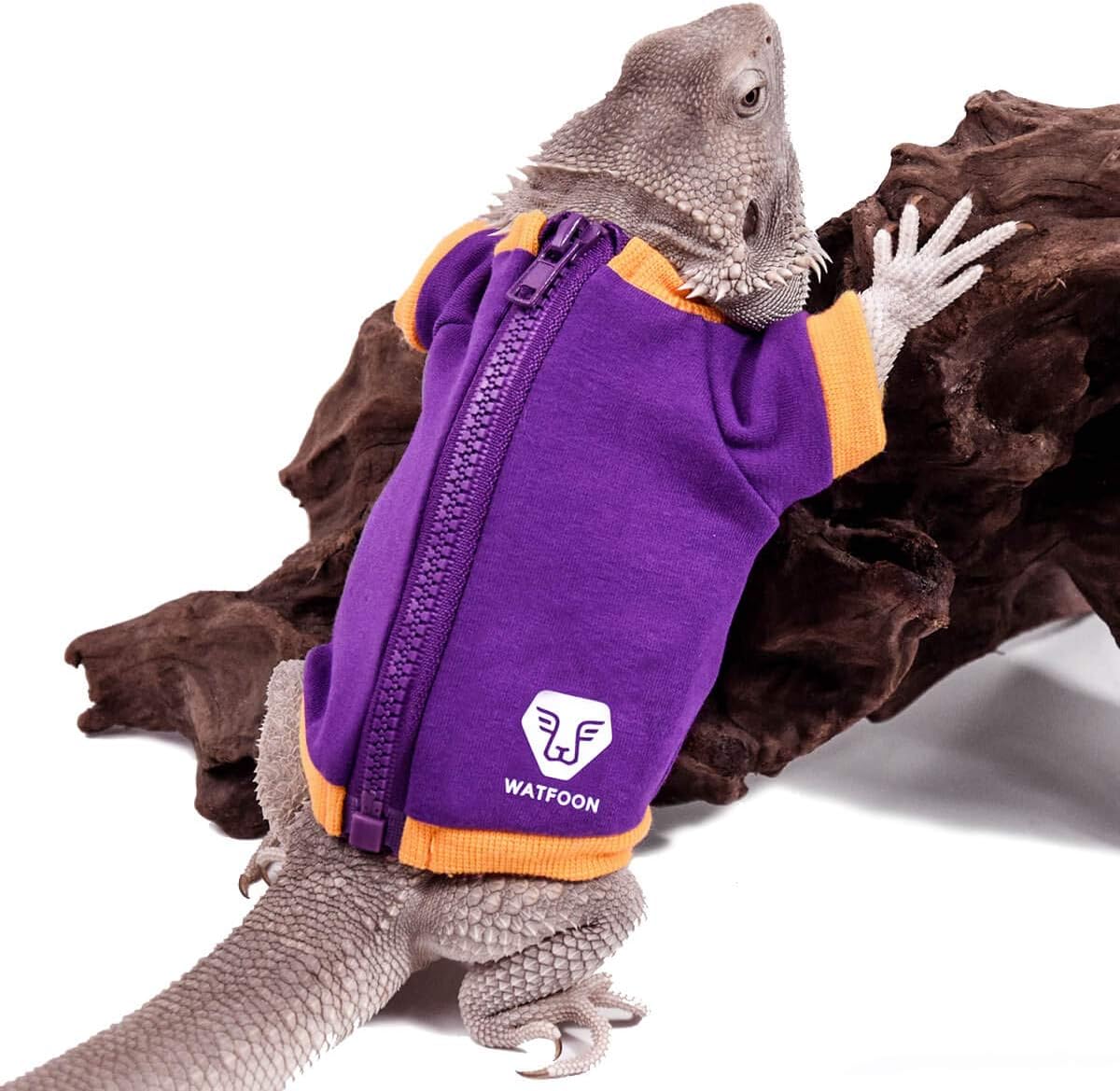 Amazon.com : WATFOON Lizard Clothes Bearded Dragon Sweater Winter ...