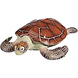 Amazon.com: Design Toscano Blue Sea Turtle Statue: Medium : Design ...