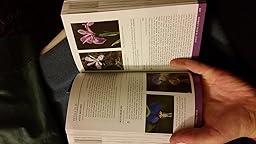 Peterson Field Guide to Medicinal Plants and Herbs of Eastern and ...