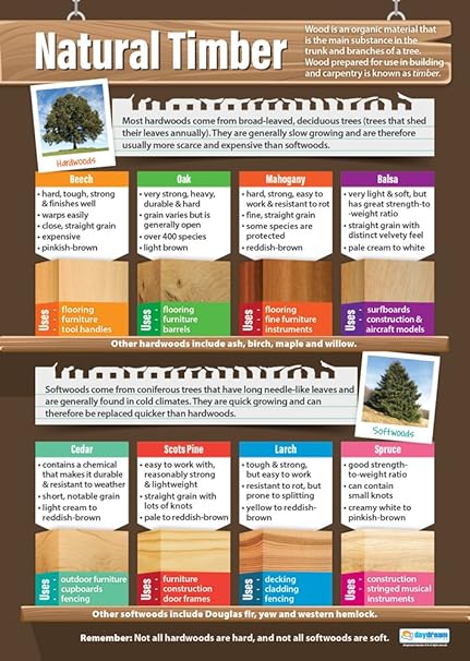 Natural Timber | Design & Technology Posters | Gloss Paper measuring ...