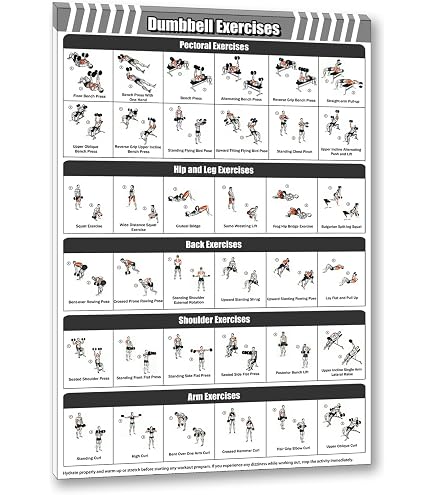 Muscle Anatomy Chart ALGRA Chest Workout Chart - 24x36 Inch Laminated ...