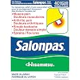 Salonpas Pain Relieving Patch – 40 Patches : Amazon.ca: Health ...