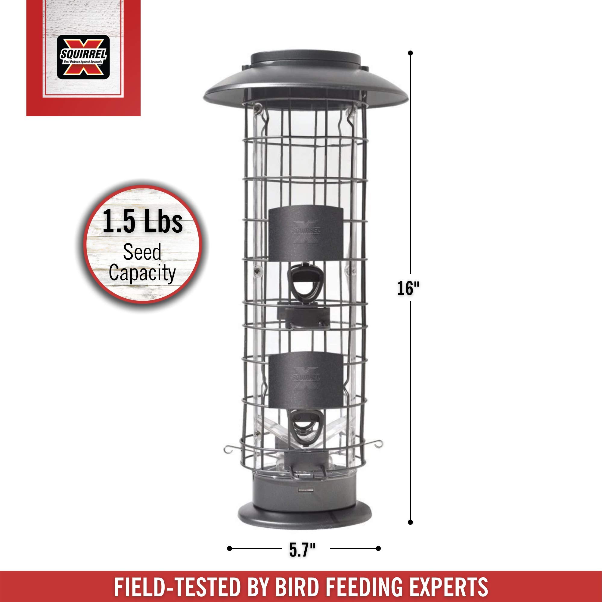 Mua More Birds Squirrel-X4 Squirrel Resistant Bird Feeder, 4 Spring ...
