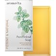 Amazon.com : AROMAVITA Oregano Oil Soap - Hand Soap or Body Wash ...