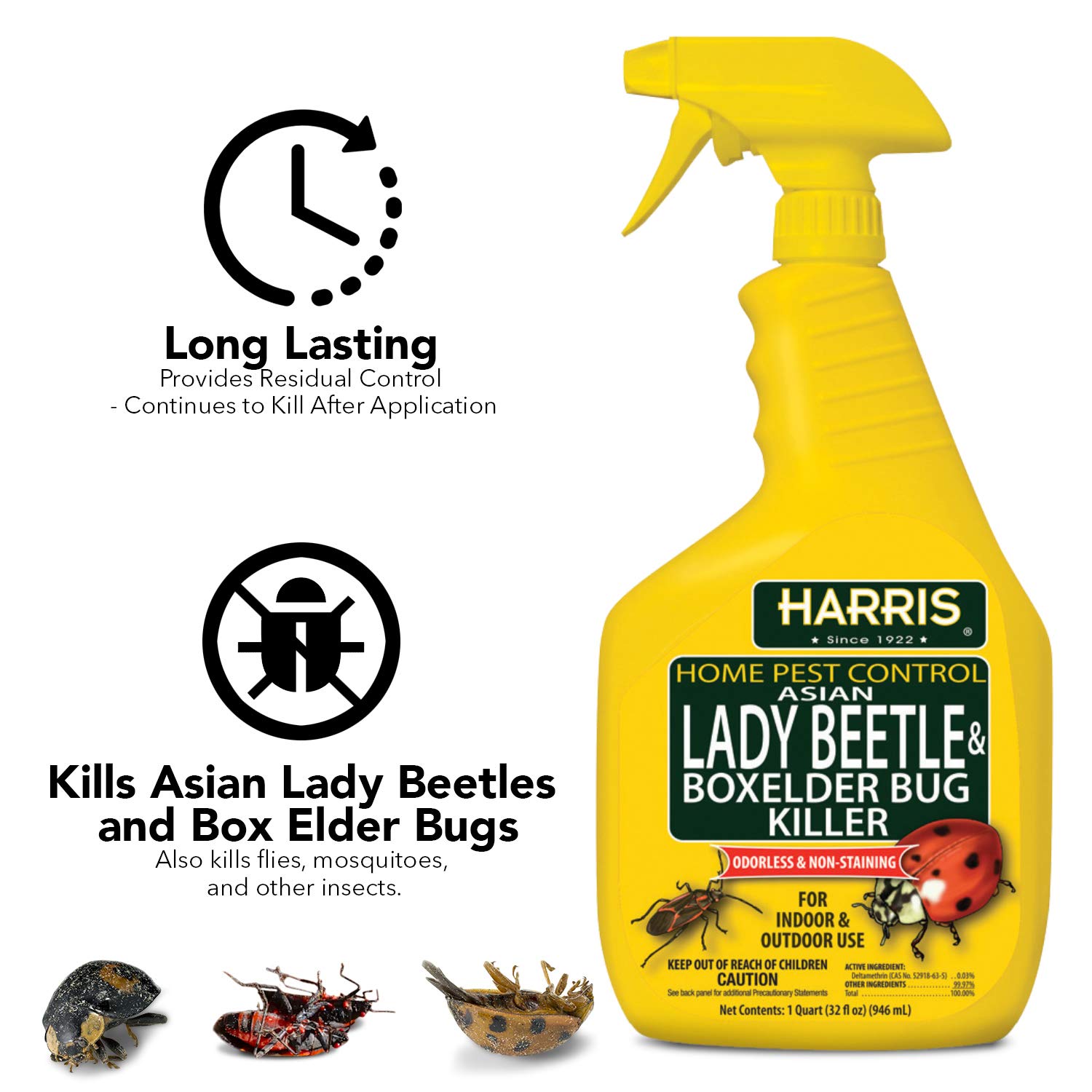 Mua Harris Asian Lady Beetle and Box Elder Killer, Liquid Spray with ...