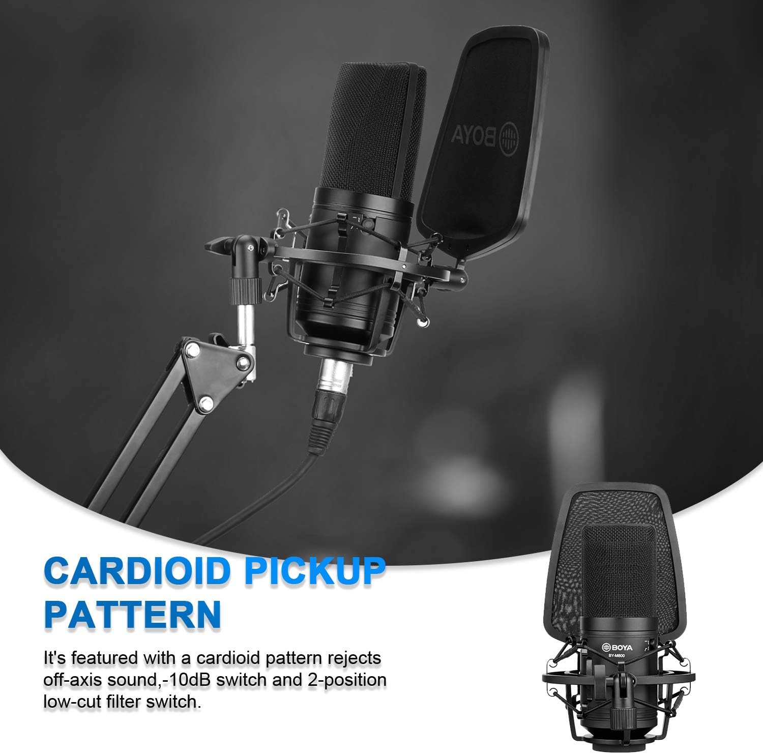 BOYA M800 Audio Microphone Large Gold-sputtered Diaphragm Studio ...