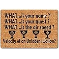 Amazon.com: Funny Welcome Indoor Door Mats for Front Door Monty Python ...