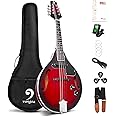 Amazon.com: Mandolin A Style Acoustic Electric Mandolins Instrument ...