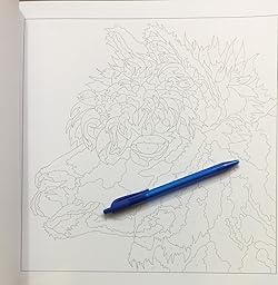 Amazon.com: Colortronic Animals: A Kaleidoscopic Coloring Challenge ...