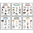 Amazon.com: Educational Posters, Homeschool Decorations, Preschool Wall ...