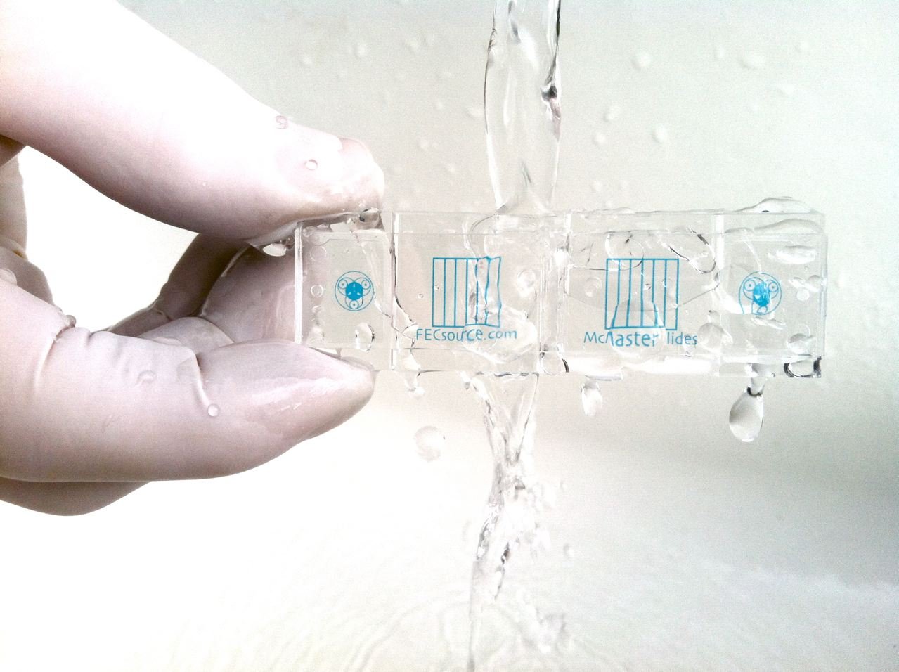 Mua 4 McMaster Method Microscope Slides, by FEC Source $17 ea, Fecal ...