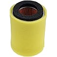 Amazon.com: JEENDA Air Filter Replaces 11013-1263 Compatible with 2007 ...