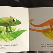 A Color of His Own: Lionni, Leo, Lionni, Leo: 9780375810916: Books ...