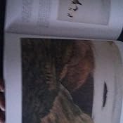 Explorers' Sketchbooks: The Art of Discovery & Adventure: Amazon.co.uk ...