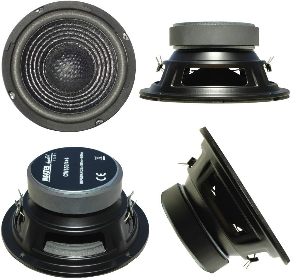 HAUT PARLEUR SUBWOOFER MASTER AUDIO CW650/4+4 WOOFER DE 16,50 CM 60 ...