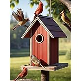 Amazon.com: AIBOERL Diamond Art Kits for Adults, Cardinal Diamond ...