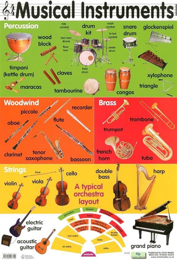 Instrumentos musicales de la orquesta Póster de 40 x 60 cm: Amazon.es ...
