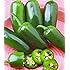 Fooled You Jalapeno Hybrid Pepper - 25 Seeds: Amazon.com: Grocery ...