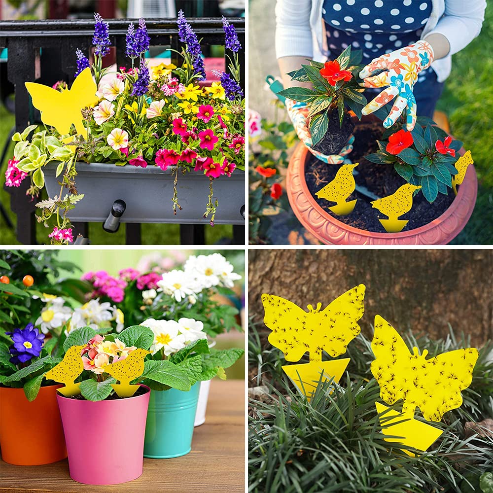 Mua Insect Trap, Adhesive Sheet, Insect Repellent Plate, Insect ...