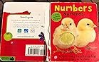 Amazon.com: Bright Baby Touch & Feel: Bilingual Numbers: English ...