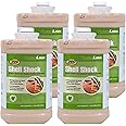Amazon.com: Zep Shell Shock Walnut-Based Pro Hand Cleaner - 1 Gallon ...